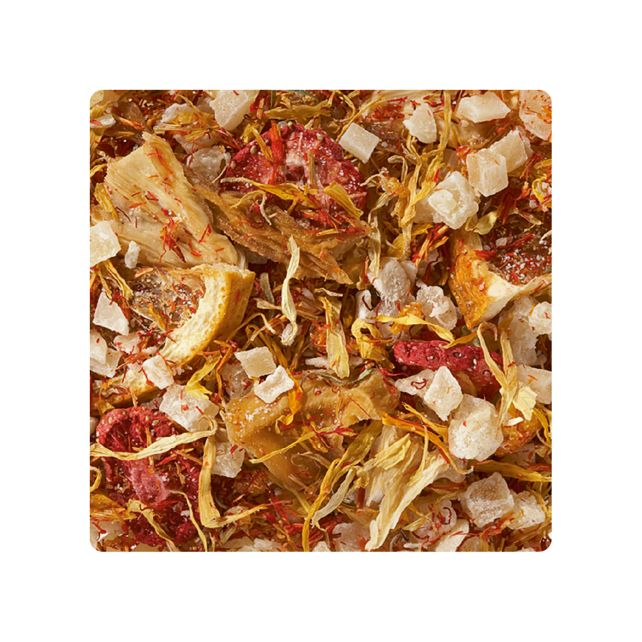 Fernweh Pyramiden Beutel 12er Box – Tee